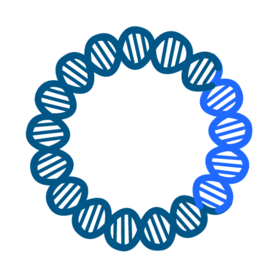 Soluciones para el bioprocesamiento de ADN plasmídico (pDNA)